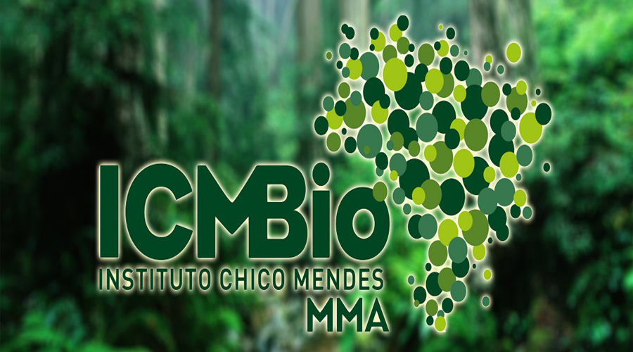 Instituto Chico Mendes cria comitê para avaliar demandas - Brasil News